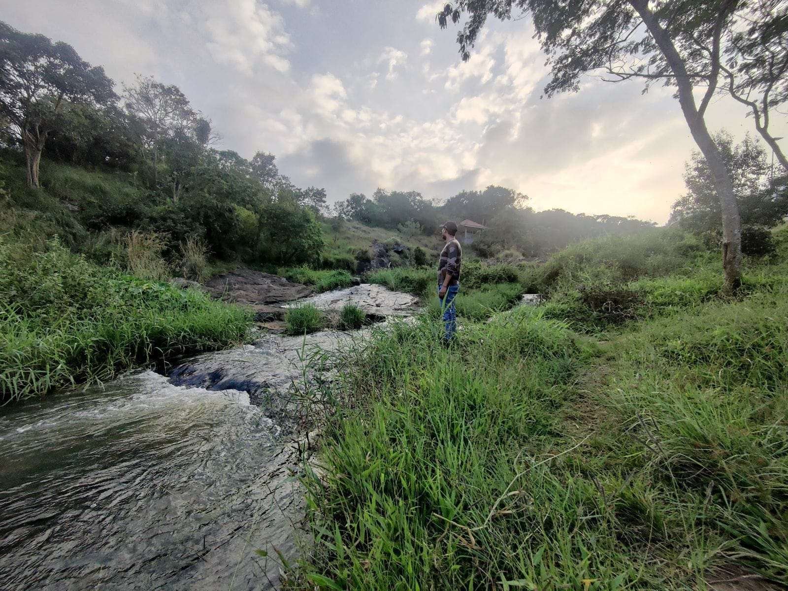 3.6. Thekkady - PTV - Avadale
