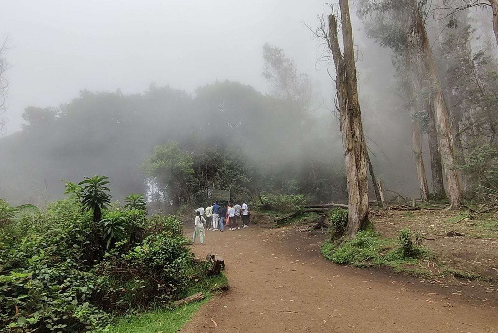 Guna Cave: Best Time to Visit, How to Reach and More
